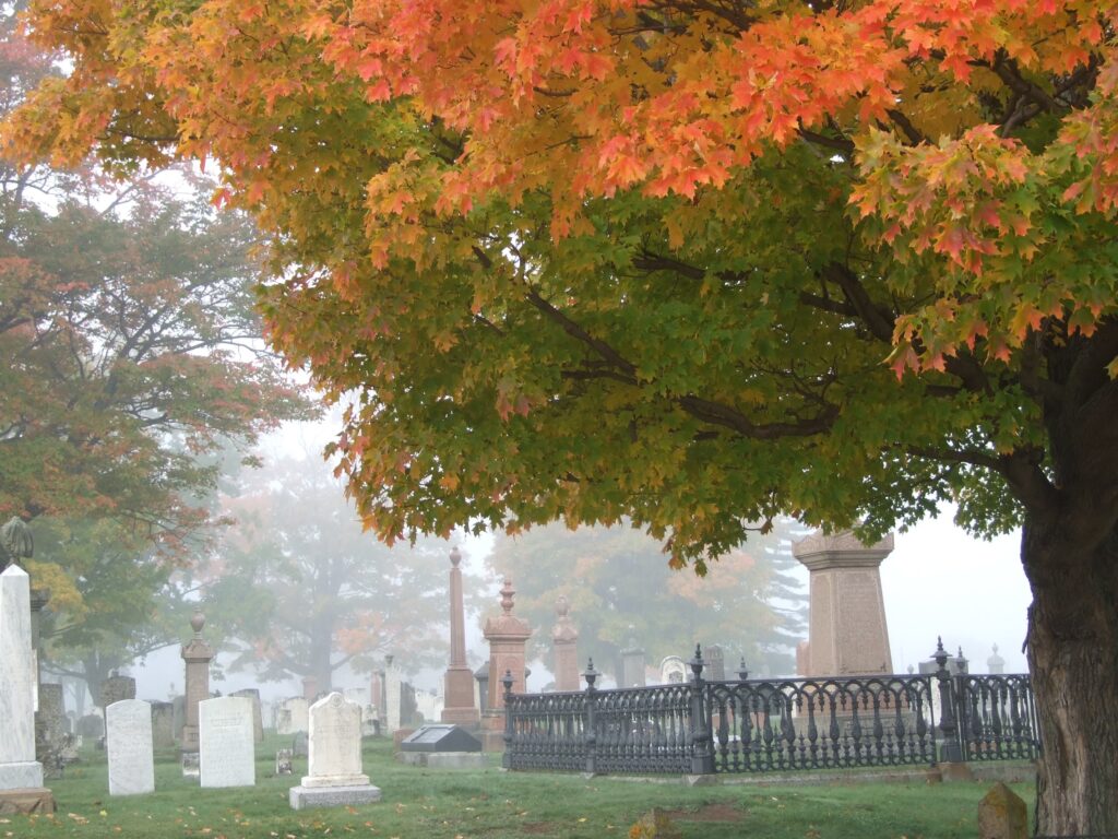 About | Truro Cemetery